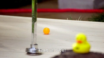 What is life? | Taskmaster Wiki | Fandom