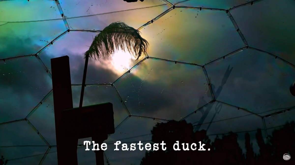 The fastest duck. | Taskmaster Wiki | Fandom