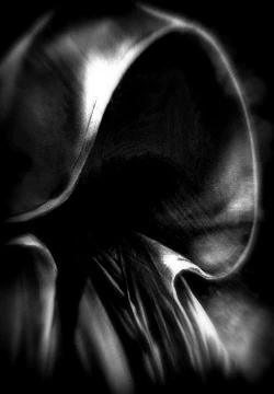 The Ghost | Task Force 589 Wiki | Fandom