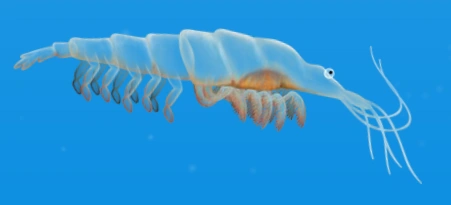 Krill | Tasty Planet Wiki | Fandom