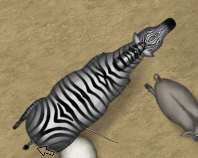 Zebra | Tasty Planet Wiki | Fandom