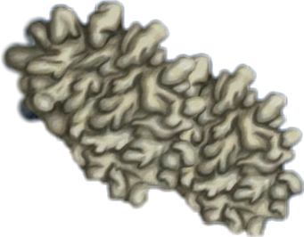 Cloud Sponge | Tasty Planet Wiki | Fandom