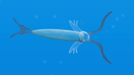 List of Crustacea | Tasty Planet Wiki | Fandom