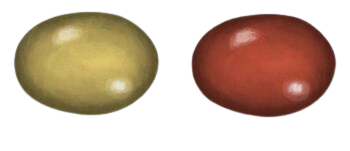Olive | Tasty Planet Wiki | Fandom