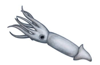 Giant Squid | Tasty Planet Wiki | Fandom