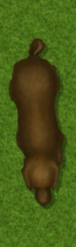 Dog | Tasty Planet Wiki | Fandom