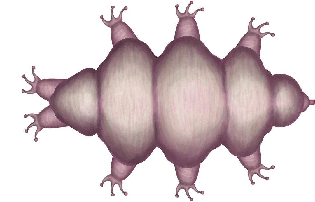 Tardigrade | Tasty Planet Wiki | Fandom