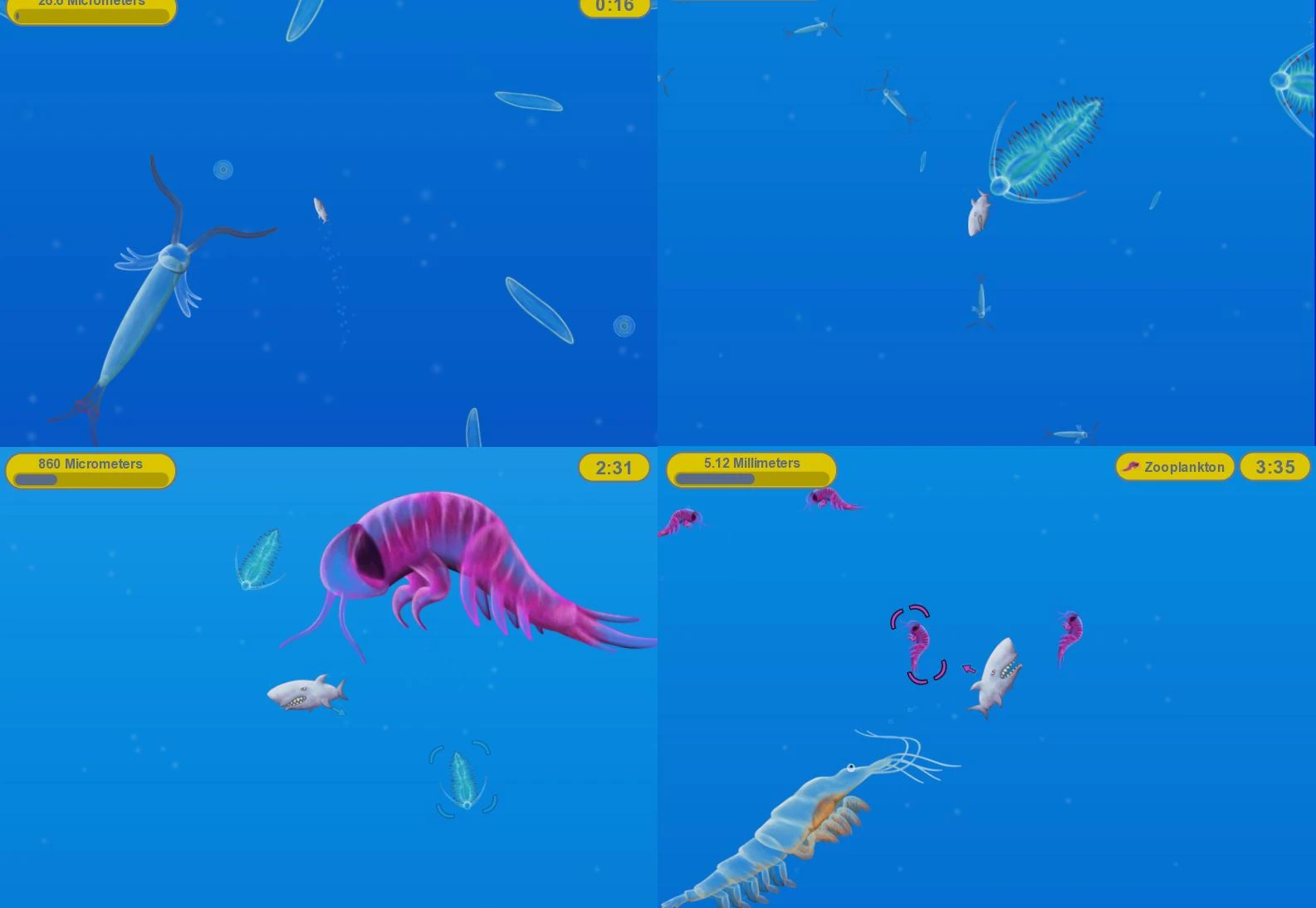 Zooplankton | Tasty Planet Wiki | Fandom