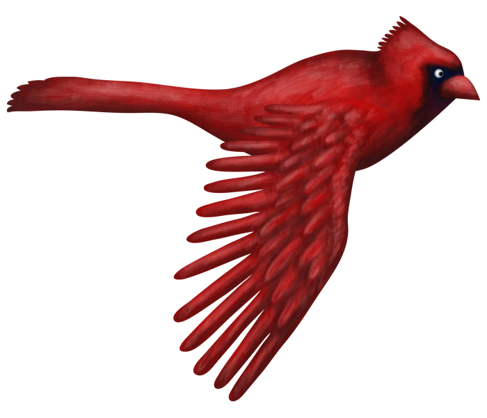 Cardinal | Tasty Planet Wiki | Fandom