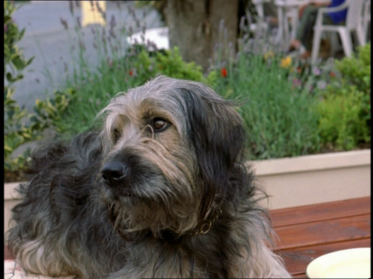 Mutt | Thomas and the Magic Railroad Wikia | Fandom