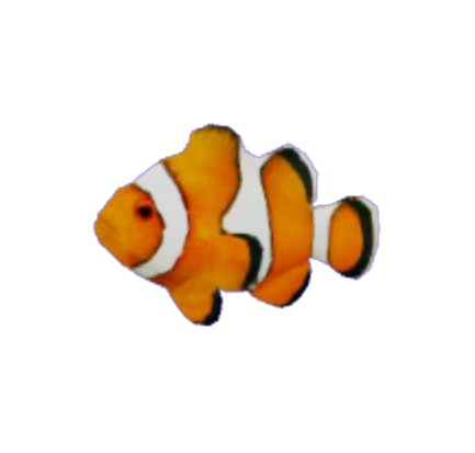 Clown Fish | Tattletail Roblox RP Wiki | Fandom