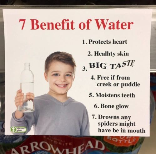 User blog:Sachi Toytale/i'm back again again of again💀 | Tattletail ...