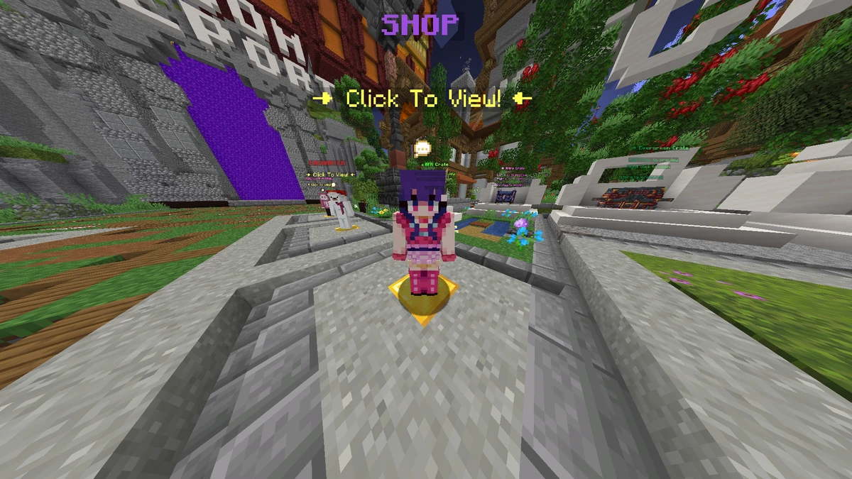 Custom NPCS | TavernMC Wiki | Fandom