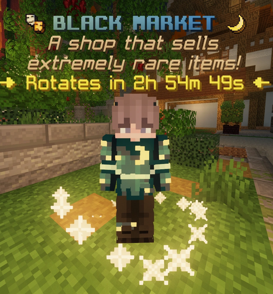 The Black Market | TavernMC Wiki | Fandom