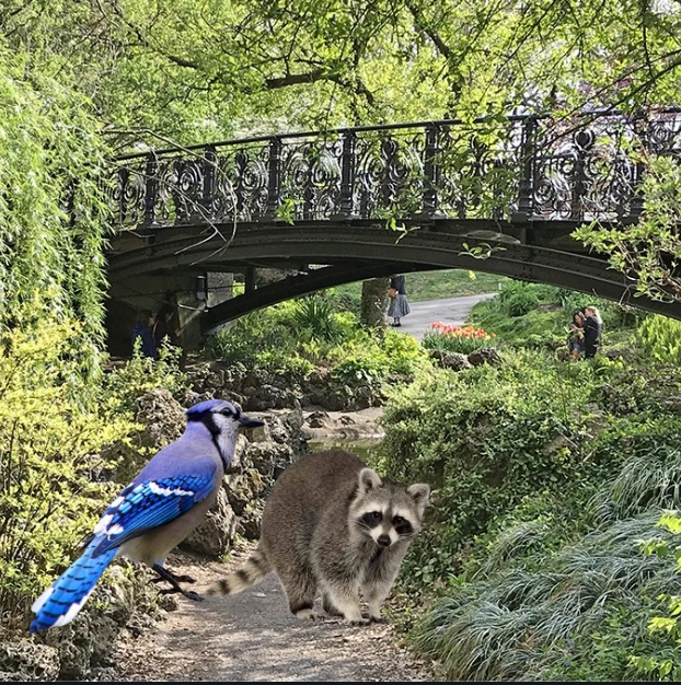 Regular Show | The Amazing World of Gumball Fanon Wiki | Fandom