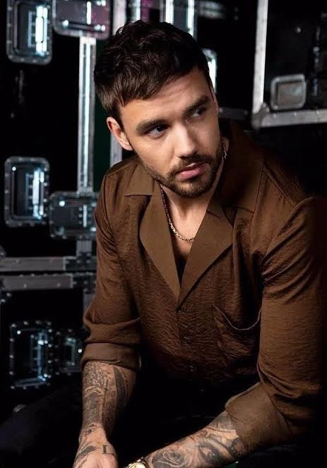 Liam Payne | Taylor Swift Fanon Wiki | Fandom