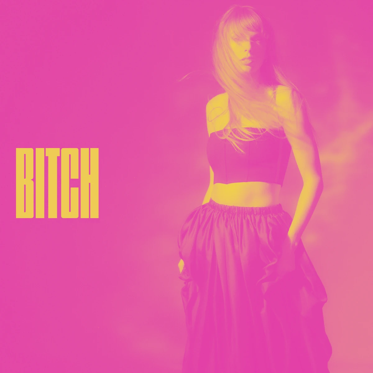 Bitch (song) | Taylor Swift Fanon Wiki | Fandom