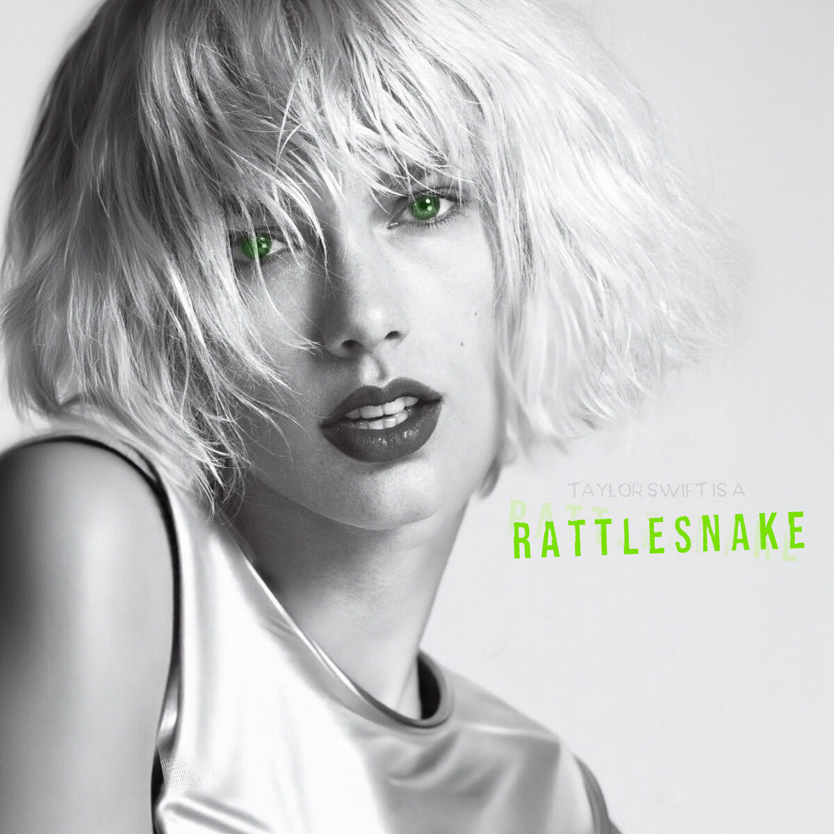 Rattlesnake | Taylor Swift Fanon Wiki | Fandom Rattlesnake | Taylor Swift Fanon Wiki | Fandom