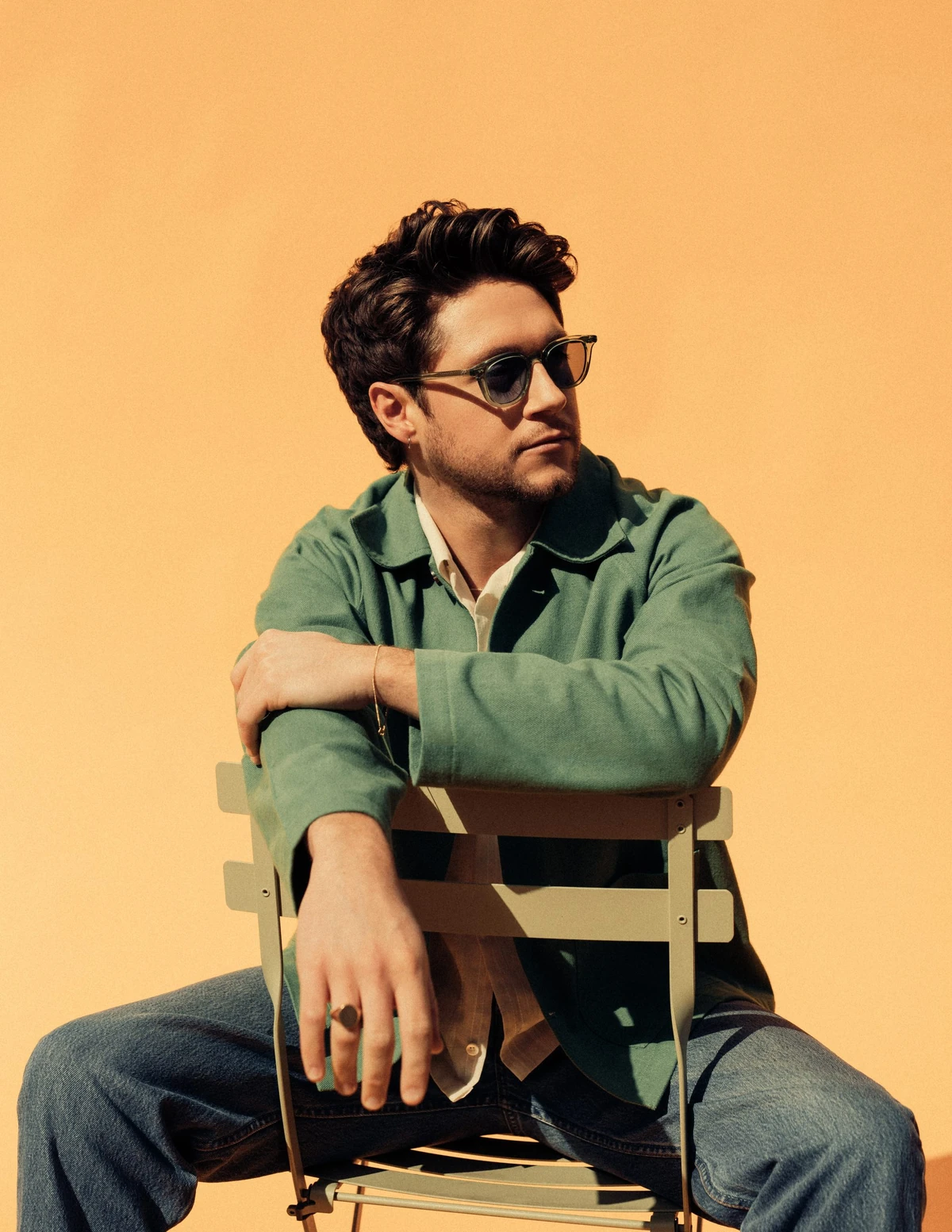 Niall Horan | Taylor Swift Fanon Wiki | Fandom