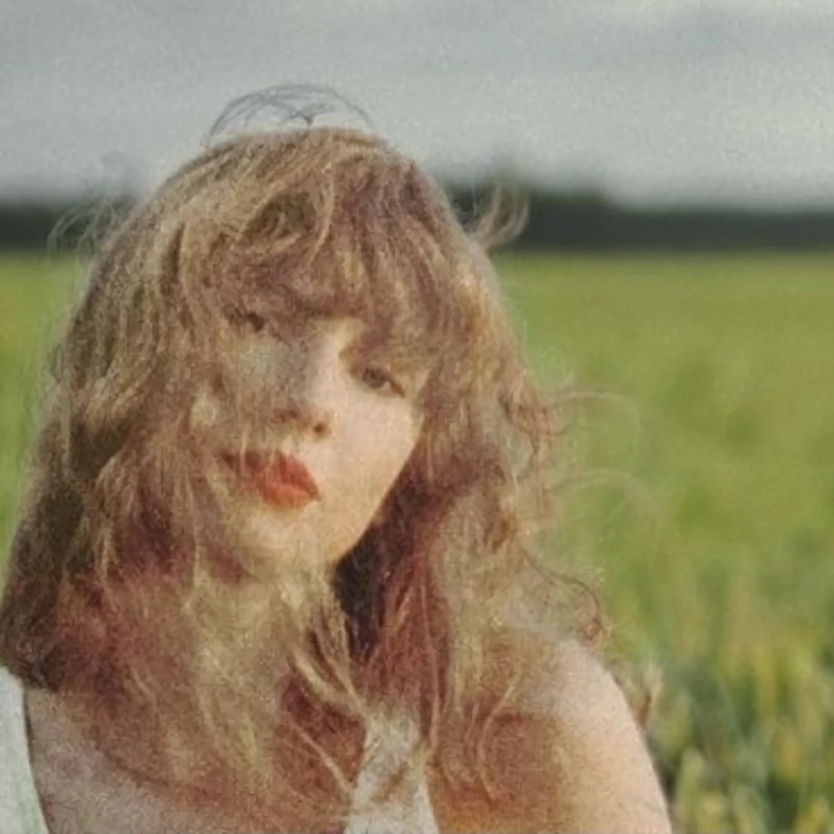 Taylor Swift (Taylor's Version) (Vaniver's Version) | Taylor Swift ...