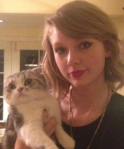 Taylor Swift Cat Meredith Grey