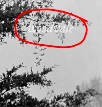 Woodvale theories | Taylor Swift Wiki | Fandom