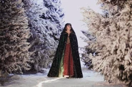 willow | Taylor Swift Wiki | Fandom
