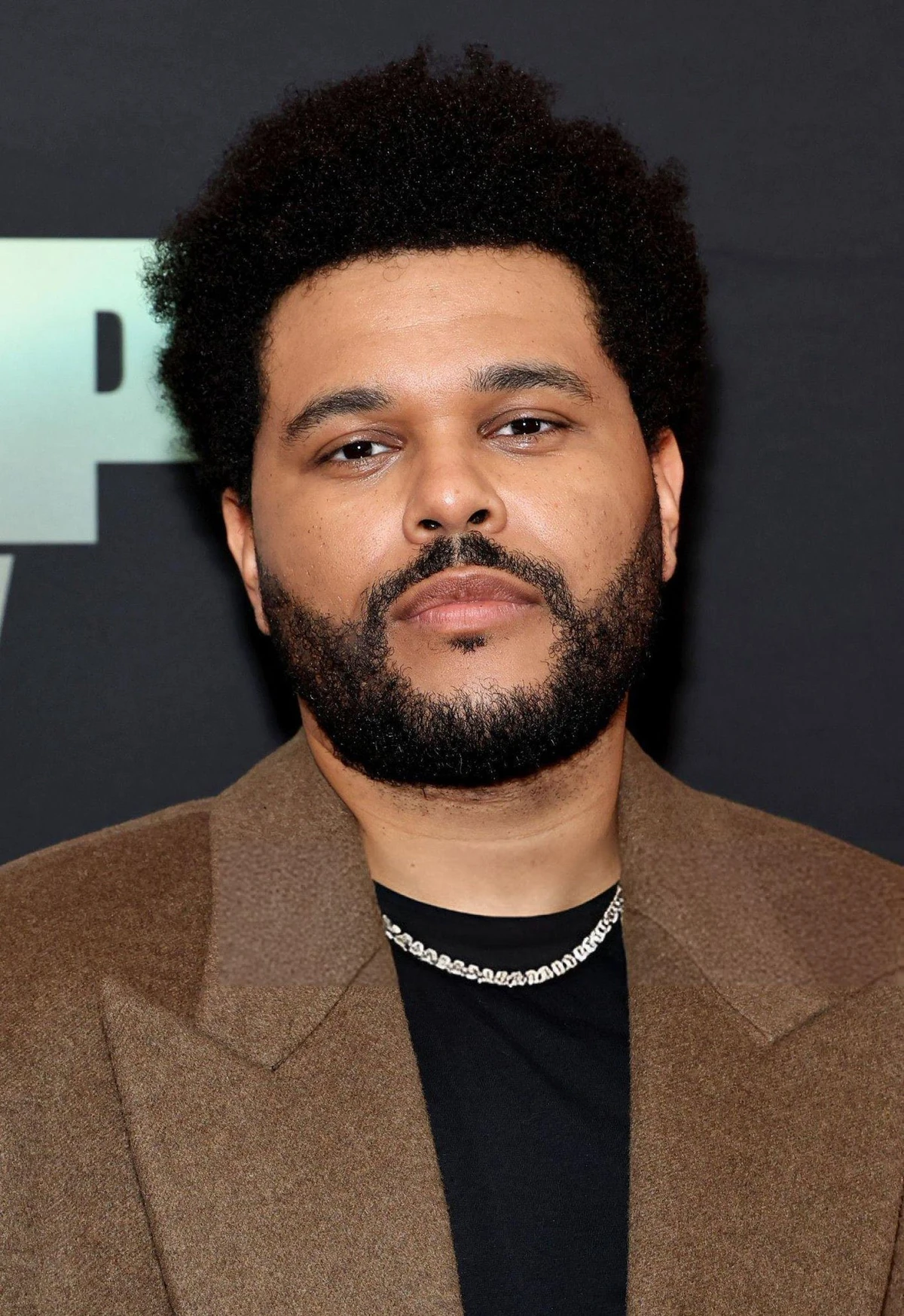 The Weeknd | Taylor Swift Wiki | Fandom