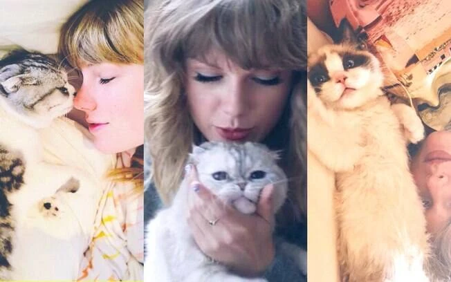 Cats | Taylor Swift Wiki | Fandom