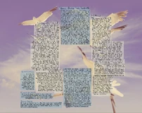 1989 | Taylor Swift Wiki | Fandom