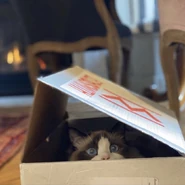 Benjamin Button | Taylor Swift Wiki | Fandom