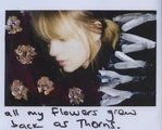 Reputation photoshoot | Taylor Swift Wiki | Fandom