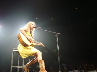 Fearless Tour | Taylor Swift Wiki | Fandom