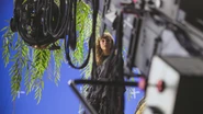 Willow | Taylor Swift Wiki | Fandom