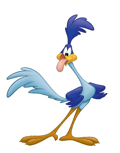 Road Runner | Taz Mania Wiki | Fandom