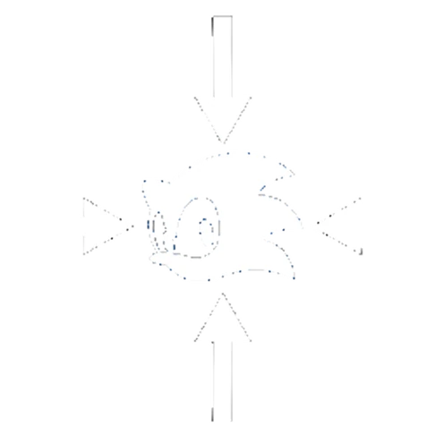 TBF | TBF Wiki | Fandom