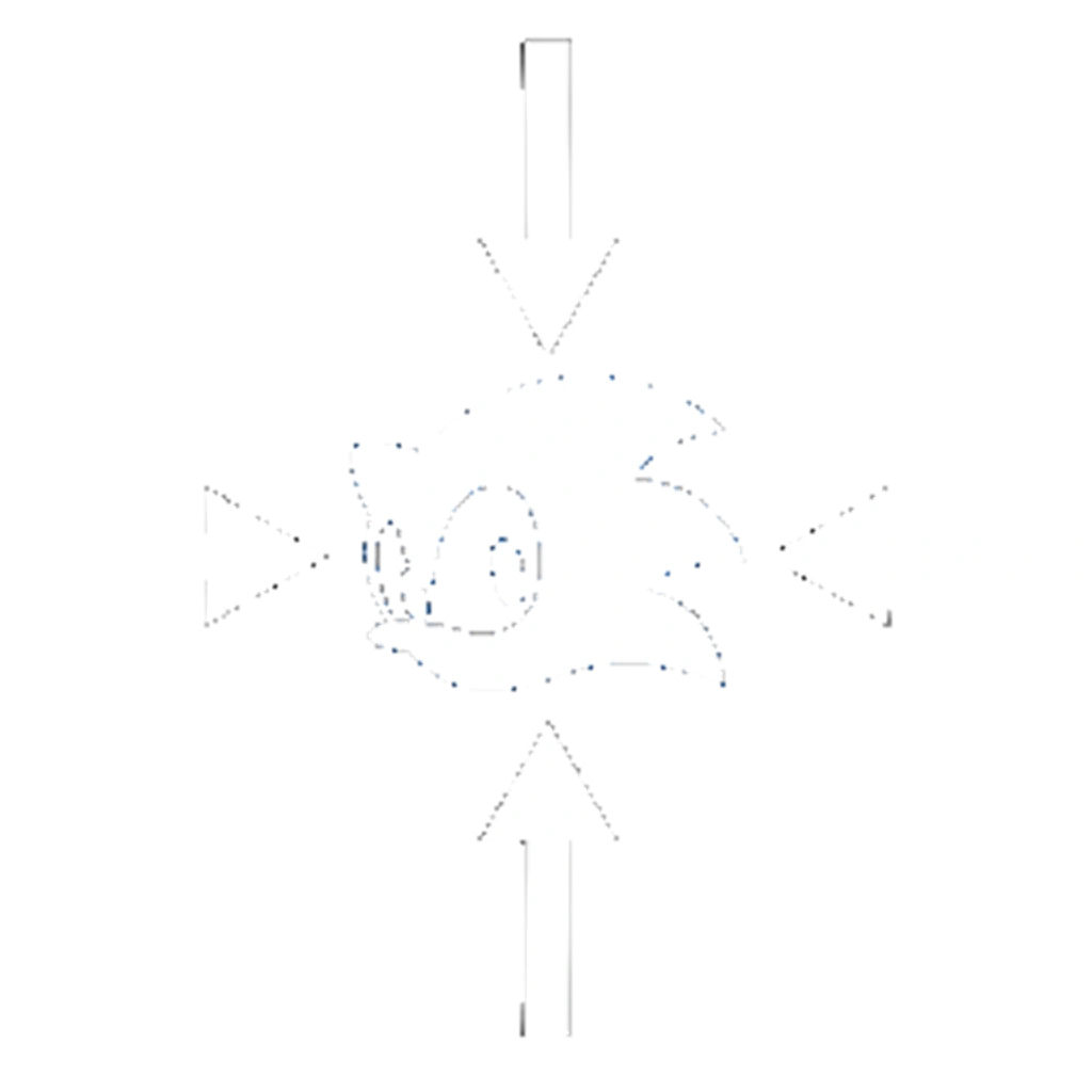 TBF | TBF Wiki | Fandom