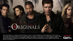 The Originals | TV Hub | Fandom