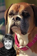 Doris | The Bureau Of Magical Things Wiki | Fandom