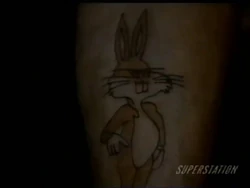 March 17, 2002 | The Superstation Archives Wiki | Fandom