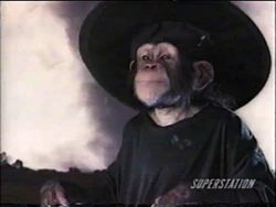 July 11, 2001 | The Superstation Archives Wiki | Fandom