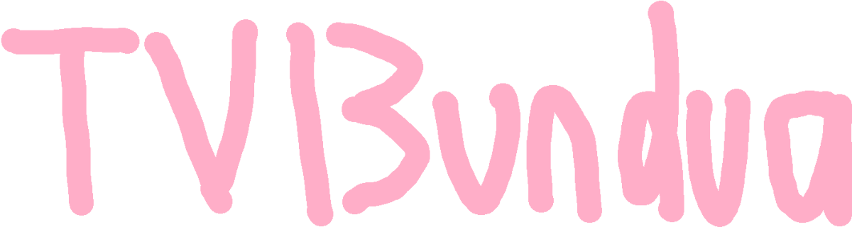 TV Bundua | TBS Logos Wiki | Fandom