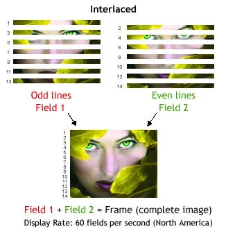 Frames | TC 201 Wiki | Fandom