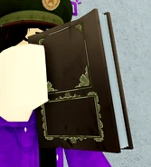 Items | That Crazy Adventure Wiki | Fandom