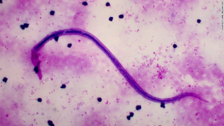 TCA-025 | Wiki TCA | Fandom