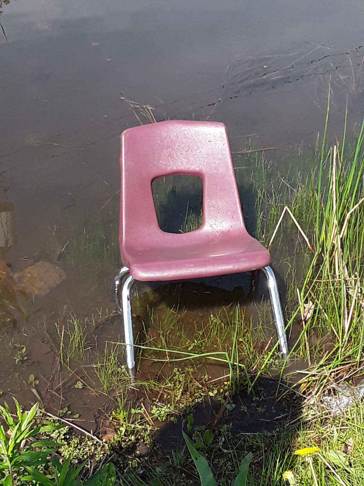 TCA-E-002 | TCAfoundation Wiki | Fandom