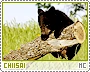 Chiisai | Tcg Wiki | Fandom