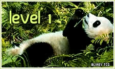 Blimey | Tcg Wiki | Fandom