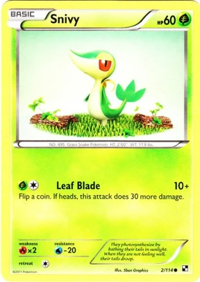 Snivy | Wiki TCGBlack&White | Fandom