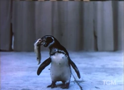 January 2, 2024 | Turner Classic Movies Archives Wiki | Fandom